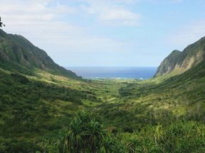 Kualoa Ranch Adventure Tours - Other VIP Activities